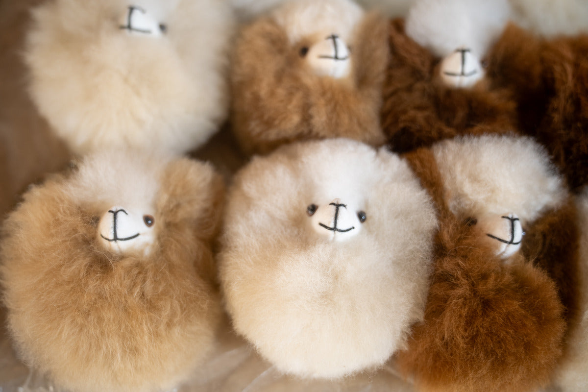 Unique Qualities of Alpaca Fur: Warmth, Comfort, and Sustainability ...